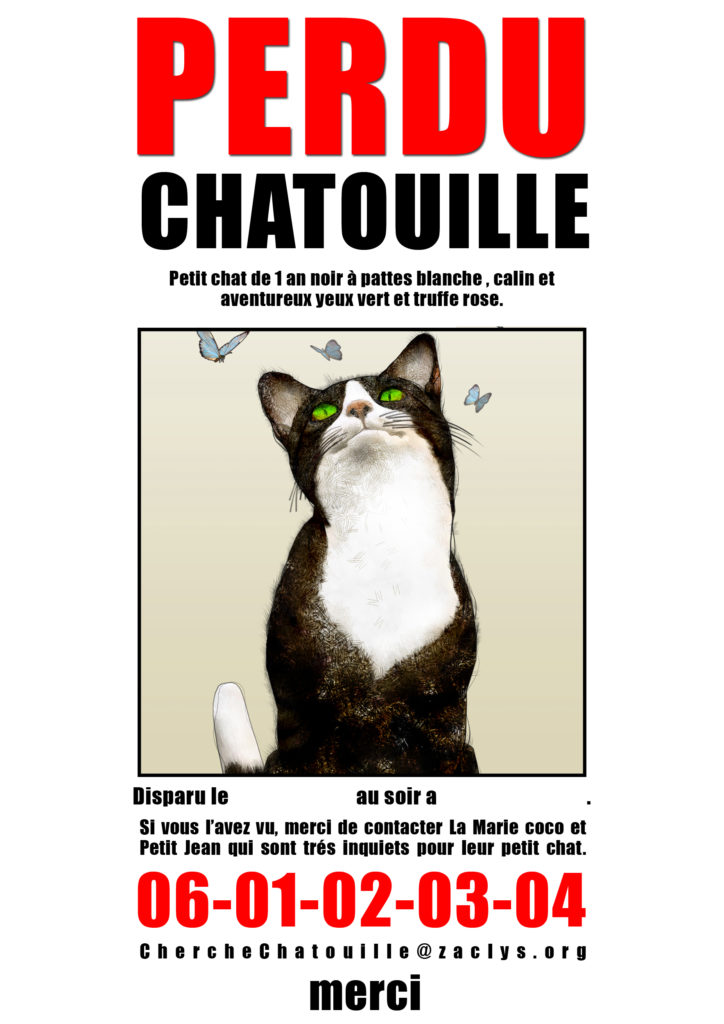 CHATOUILLE LE CHAT